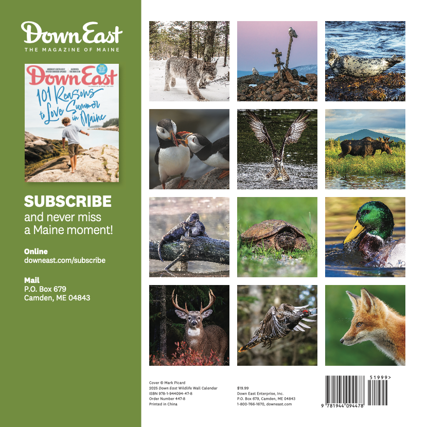 Maine Wildlife Wall Calendar | Down East Shop | Down East Shop