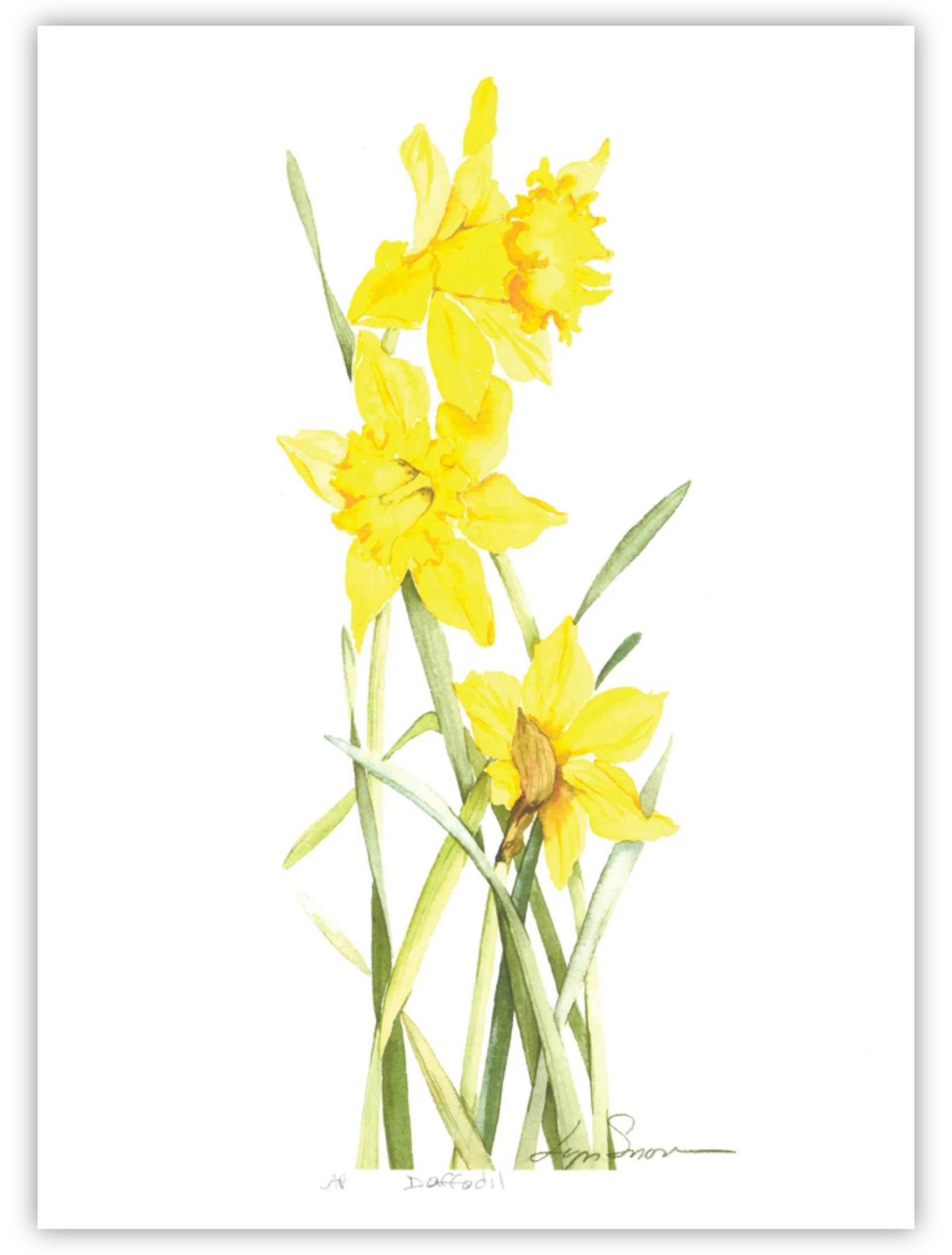 Lyn Snow Spring Flowers Prints | Maine Artwork | Down East Shop ...