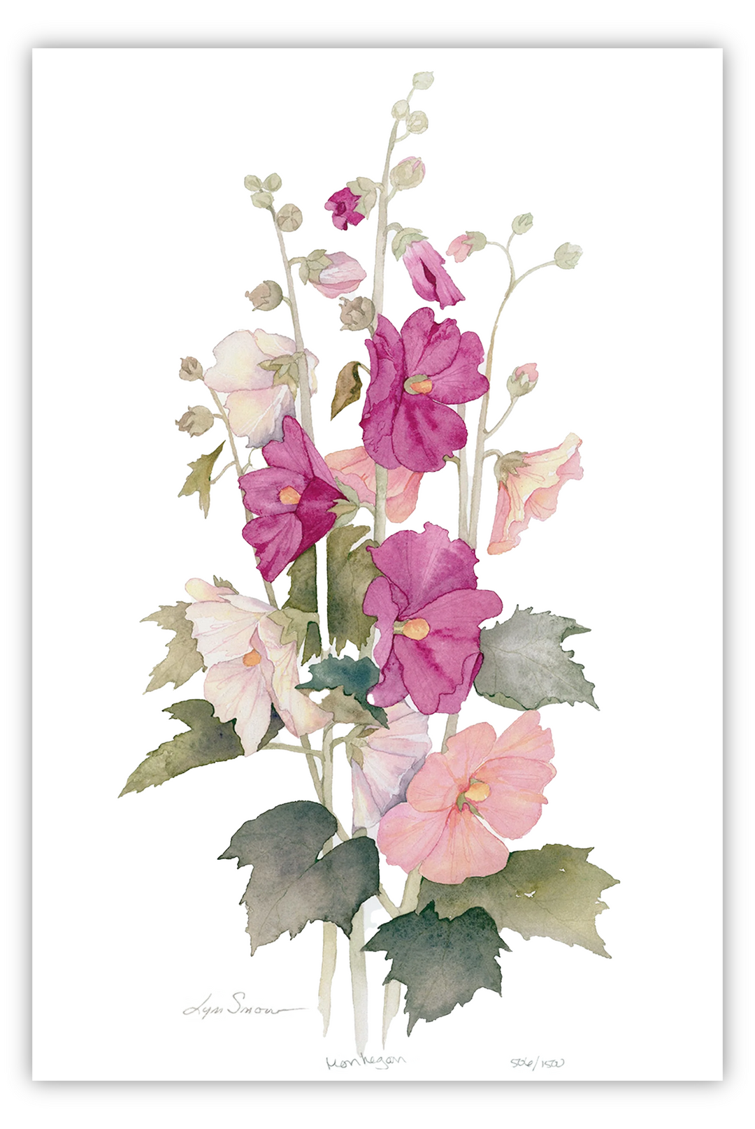 Lyn Snow Spring Flowers Prints | Maine Artwork | Down East Shop | Down ...