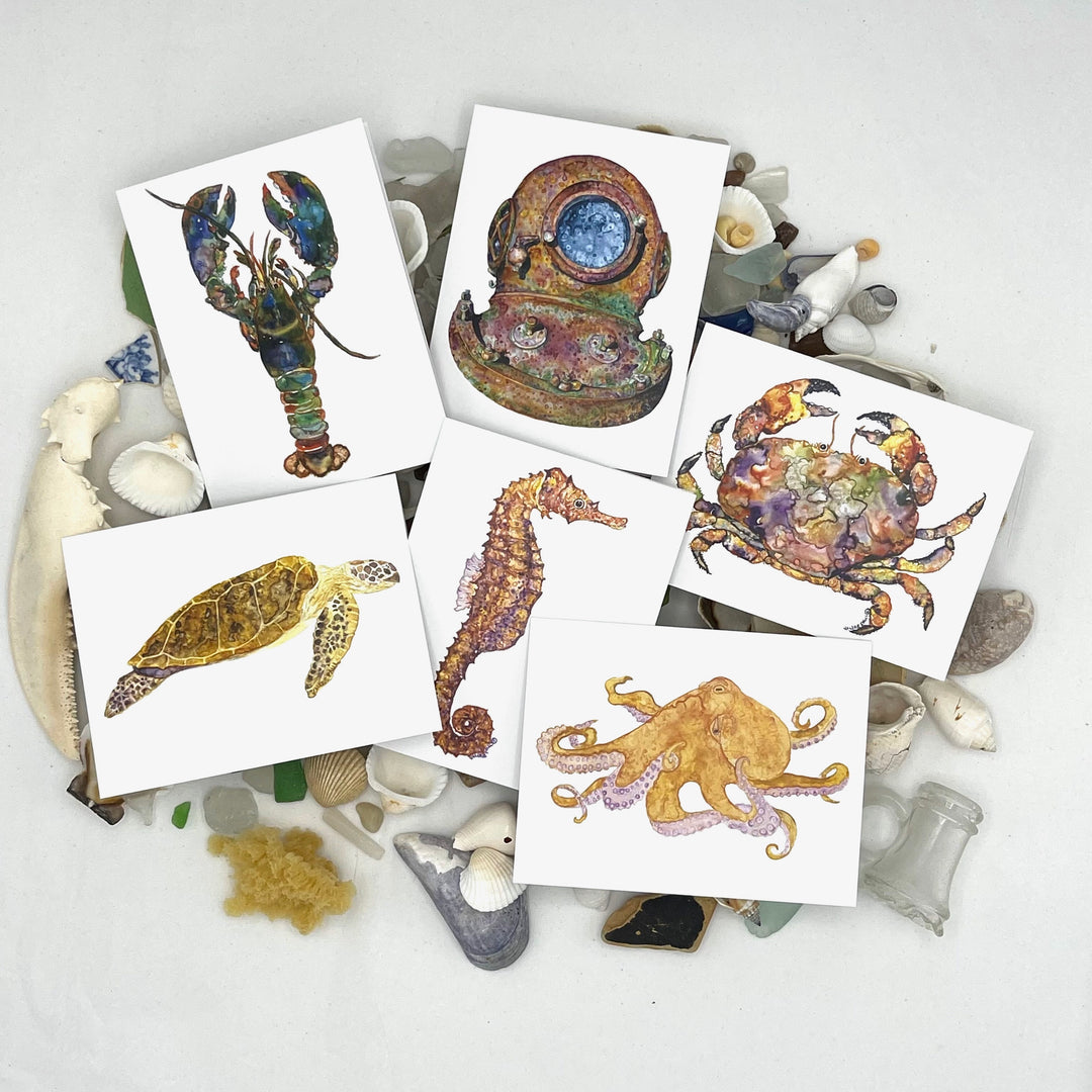 Coastal Collection Note Card Sets | Maine Watercolors – Down East Shop