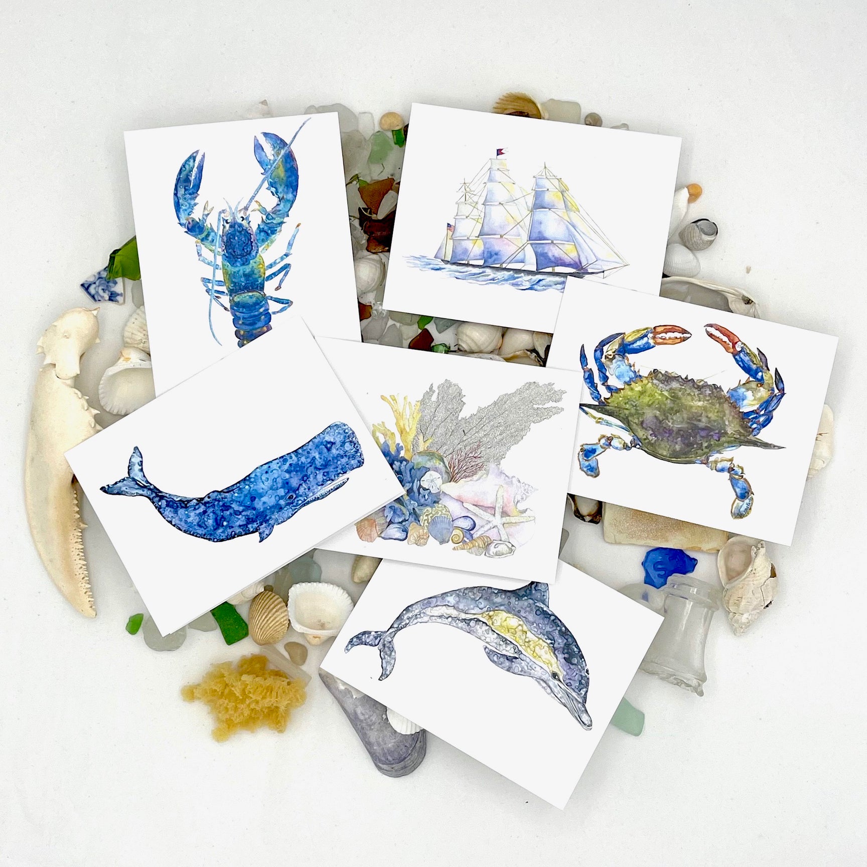 Coastal Collection Note Card Sets | Maine Watercolors | Collection II ...
